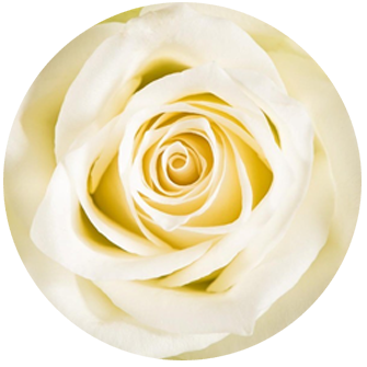 The Waterside Bar & Restaurant | Strathaven | Seafood, Steak, Homemade